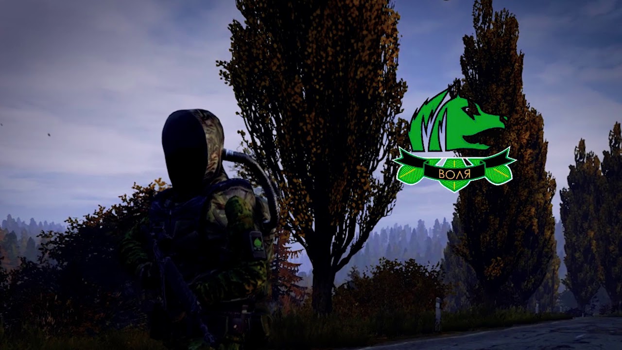 DayZ Stalker Svoboda Promo - YouTube
