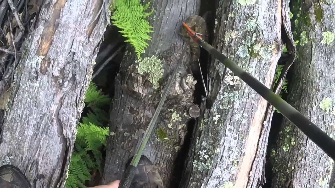 Pa Timber Rattlesnake Hunting 2015 - YouTube