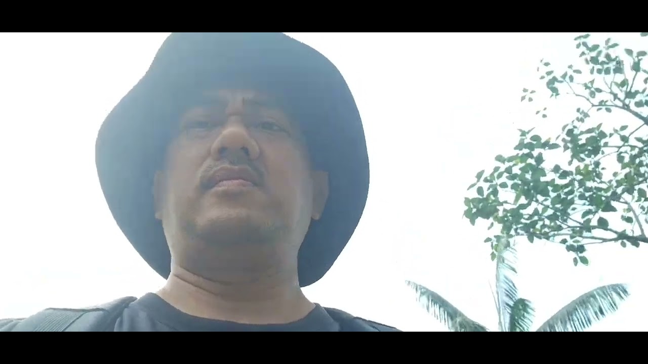 Suasana hutan FRIM selayang. - YouTube