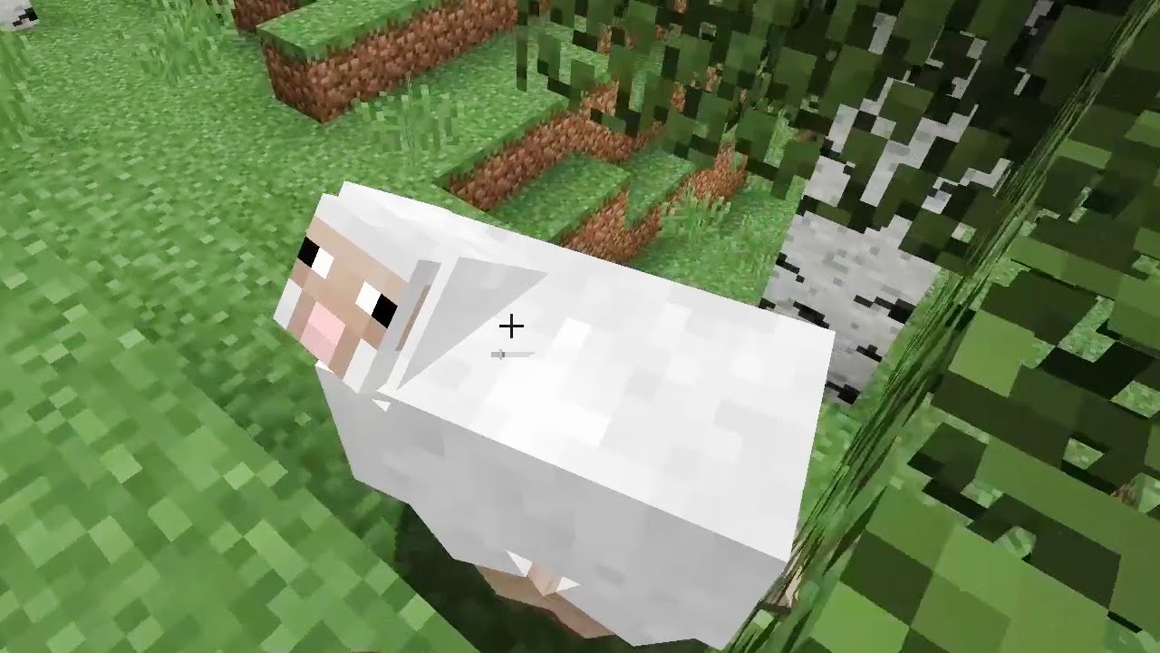 Let's Play Minecraft Episode 7 - Sheep - YouTube