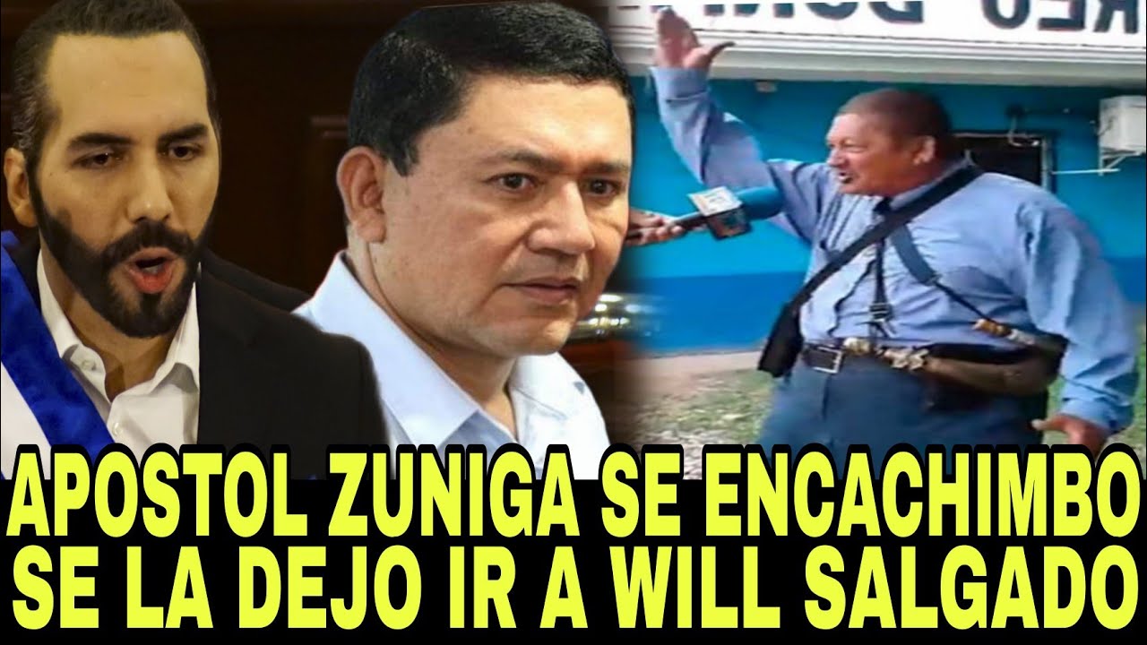 ALERTA EL APOSTOL SUNIGA SE ENCACHIMBO Y SE LA DEJO IR A WILL SALGADO ...