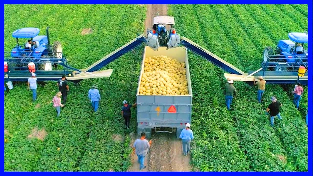California Farmers Harvest At 25 3 Million Acres Of Farmland This Way ...