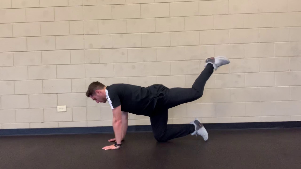 Quadruped Hip Axial - YouTube