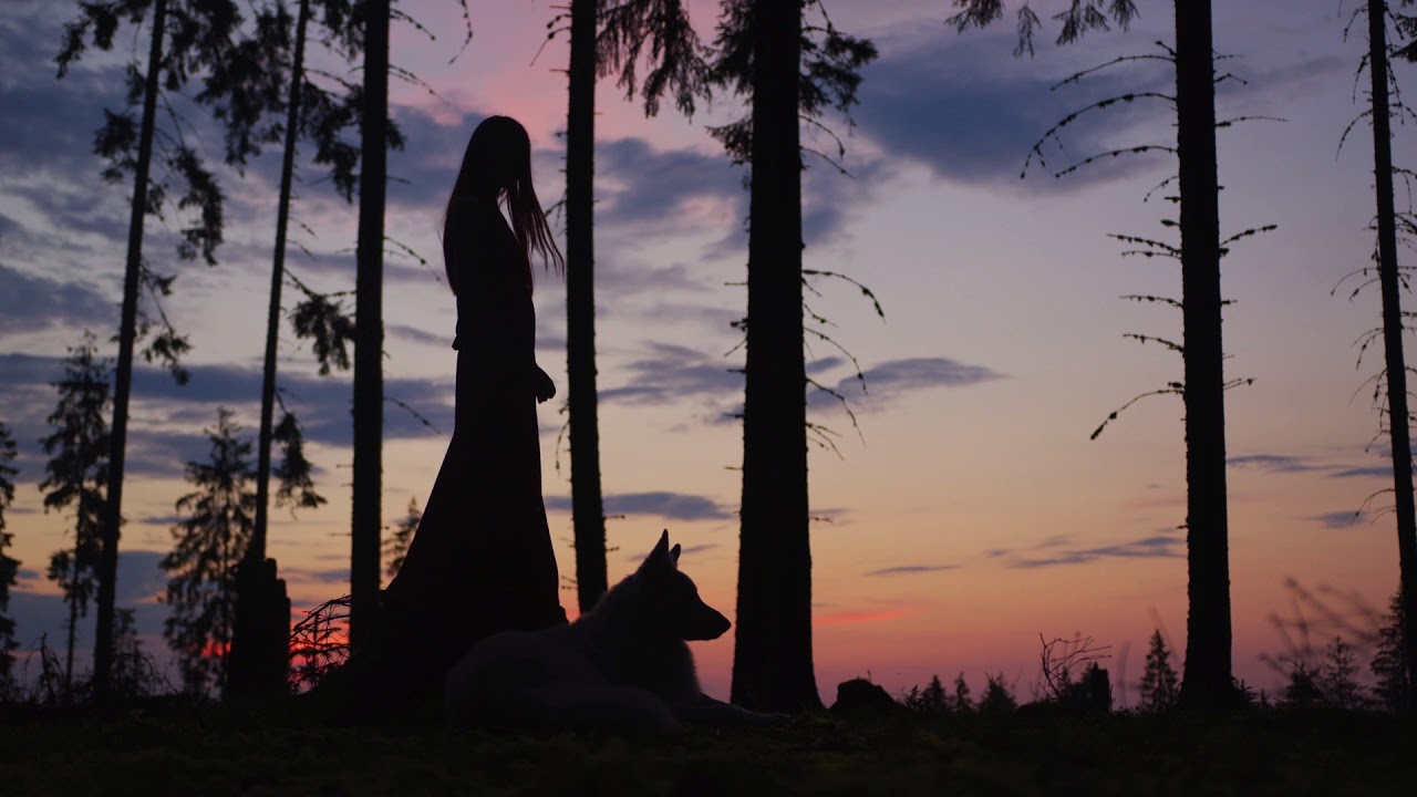 Vanessa Lively - "Running With Wolves" (Official Music Video) - YouTube