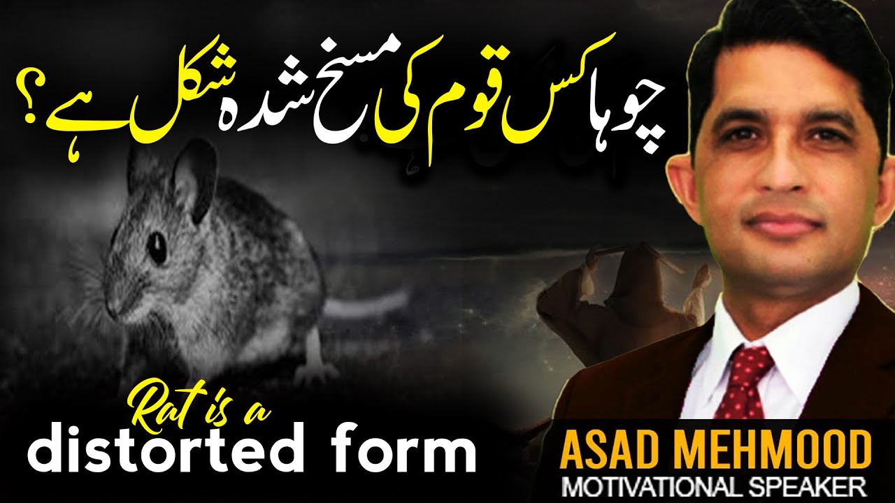 The Deformed Nation of Rats | Unraveling the Myth | Dr Asad Mehmood ...