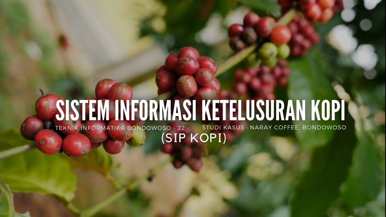 Sistem Informasi Ketelusuran Kopi (SIP Kopi) - YouTube