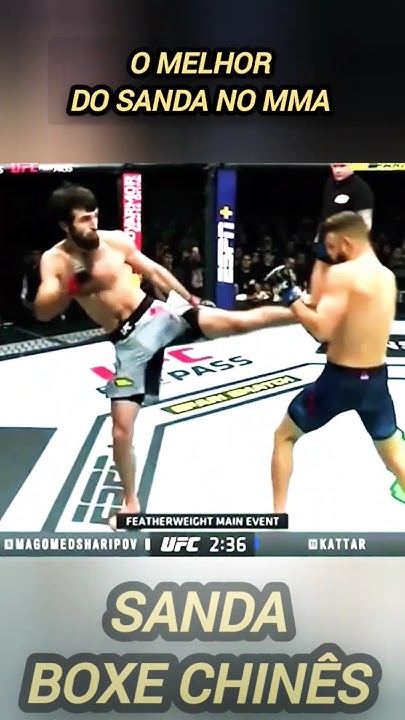 MESTRE DO SANDA #sanda #mma #boxechines - YouTube