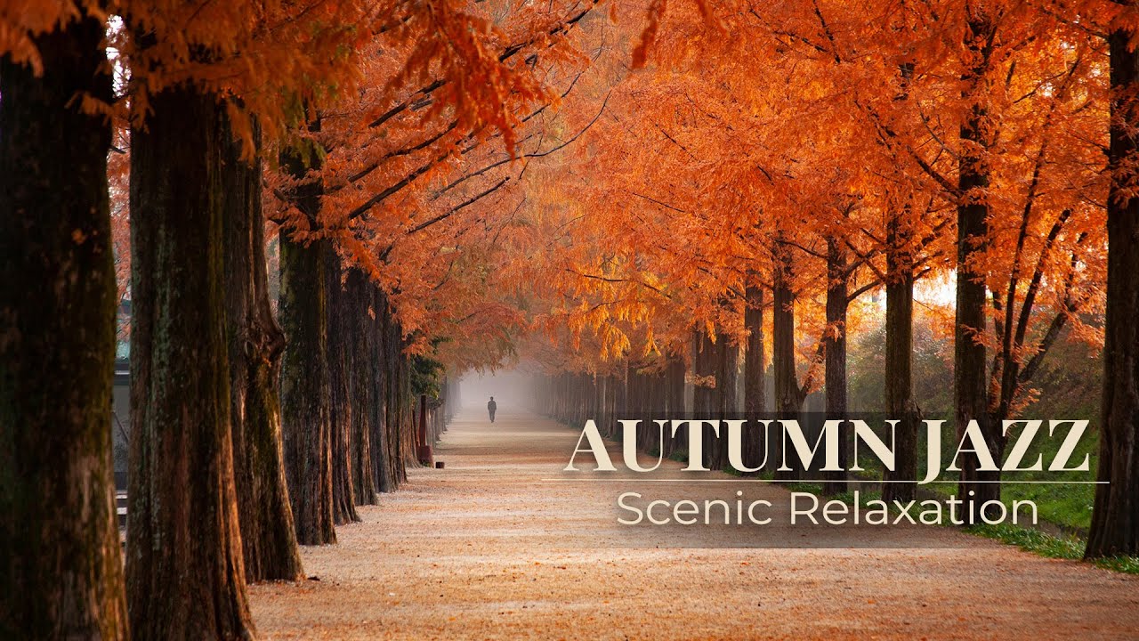 Autumn Jazz 🍂 Relaxing & Soothing Jazz Music with Beautiful Fall Nature ...