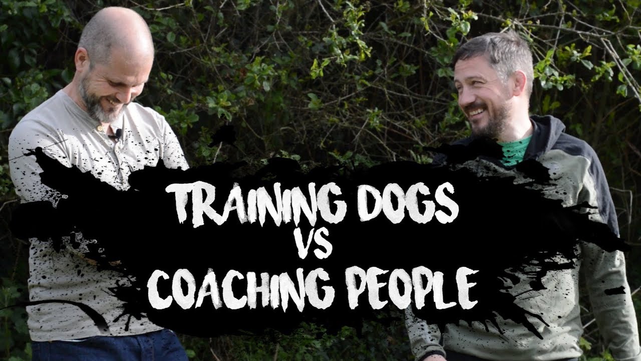 Training Dogs vs Coaching People • Win or Learn • Ft. Steve Mann - YouTube