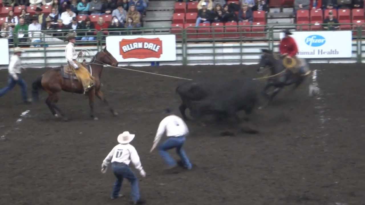 Extreme Wild Cow Milking - Farm Fair 2012 Ranch Rodeo - HD - YouTube