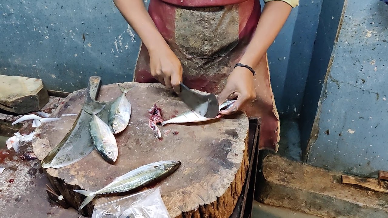Bangda Fish Cutting - YouTube