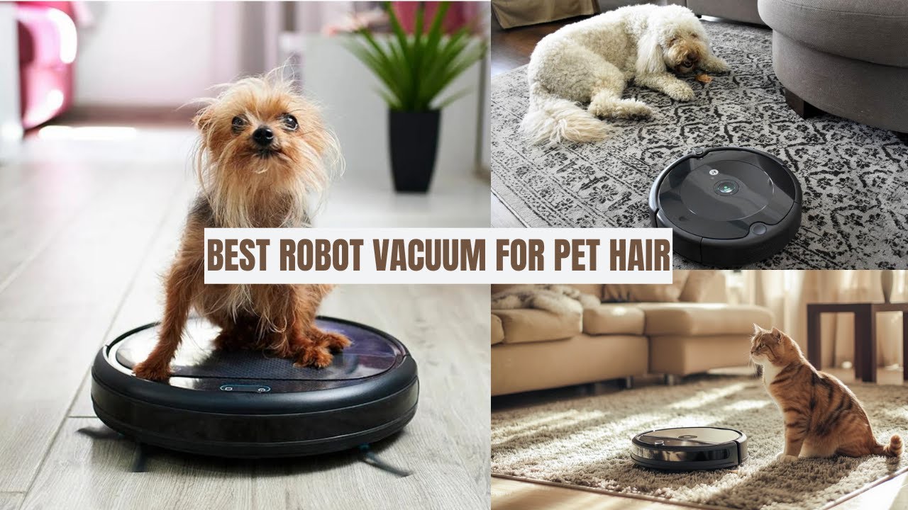 Best Robot Vacuums For Pet Hair 2024 Reviews for Cleaning