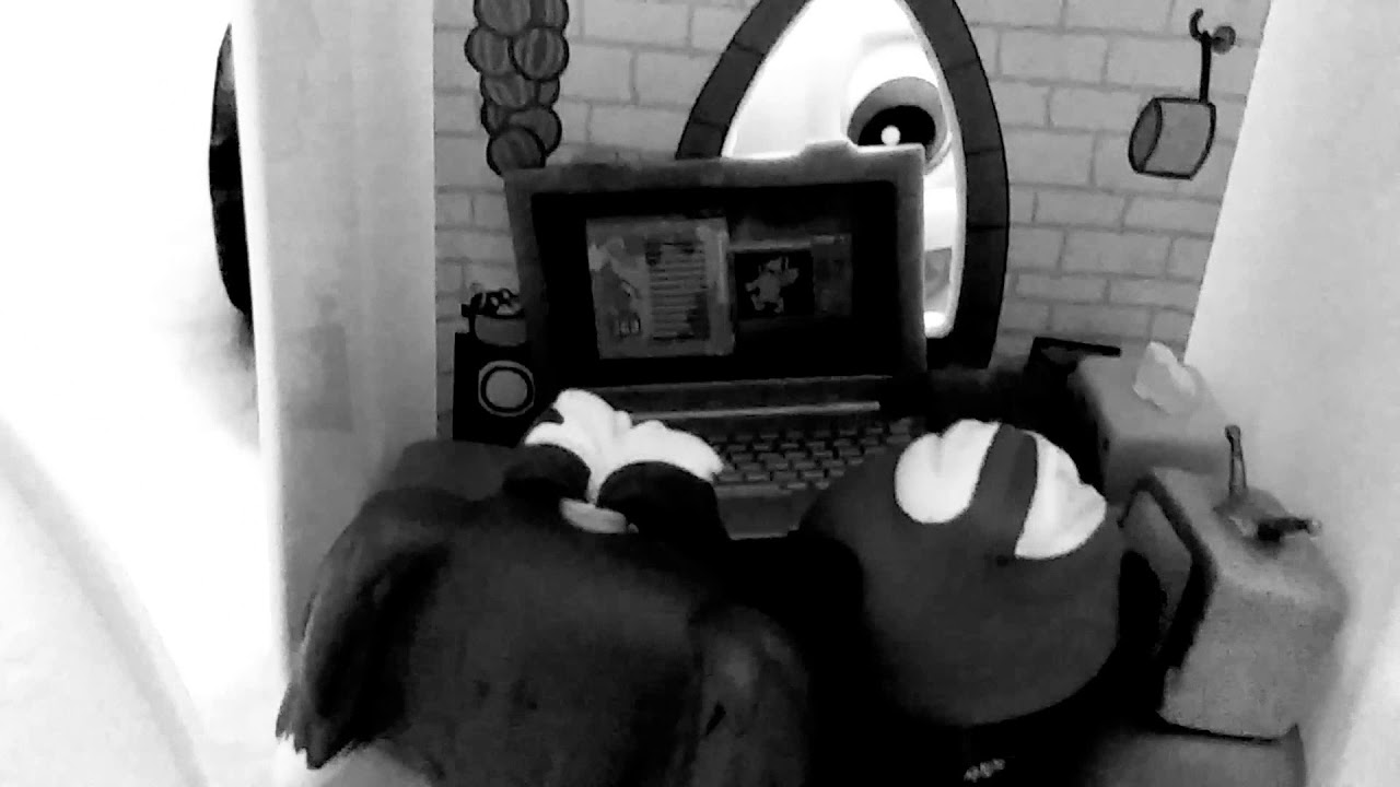 The not so perfect family - YouTube