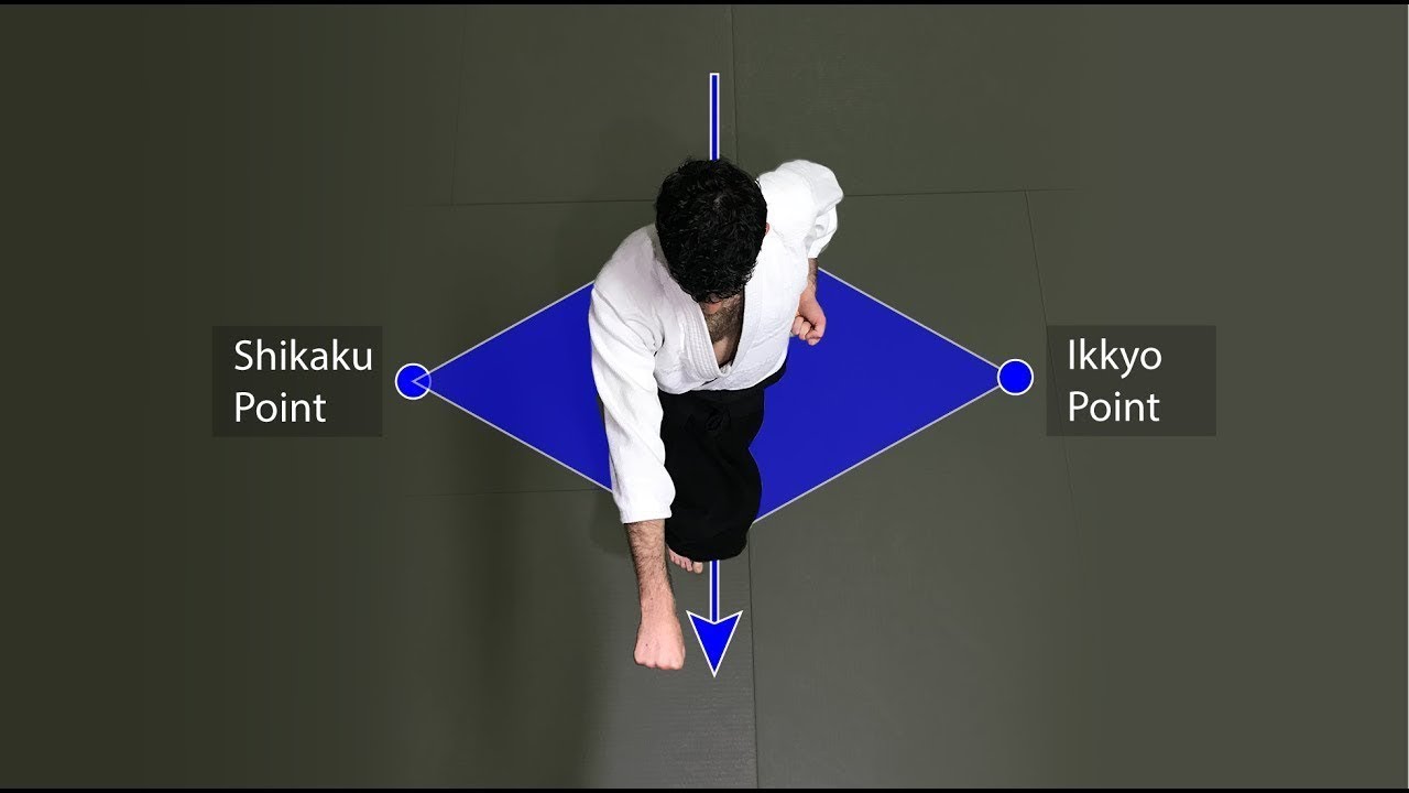 Kuzushi: Principles and Exercises for Static and Dynamic Offbalancing ...