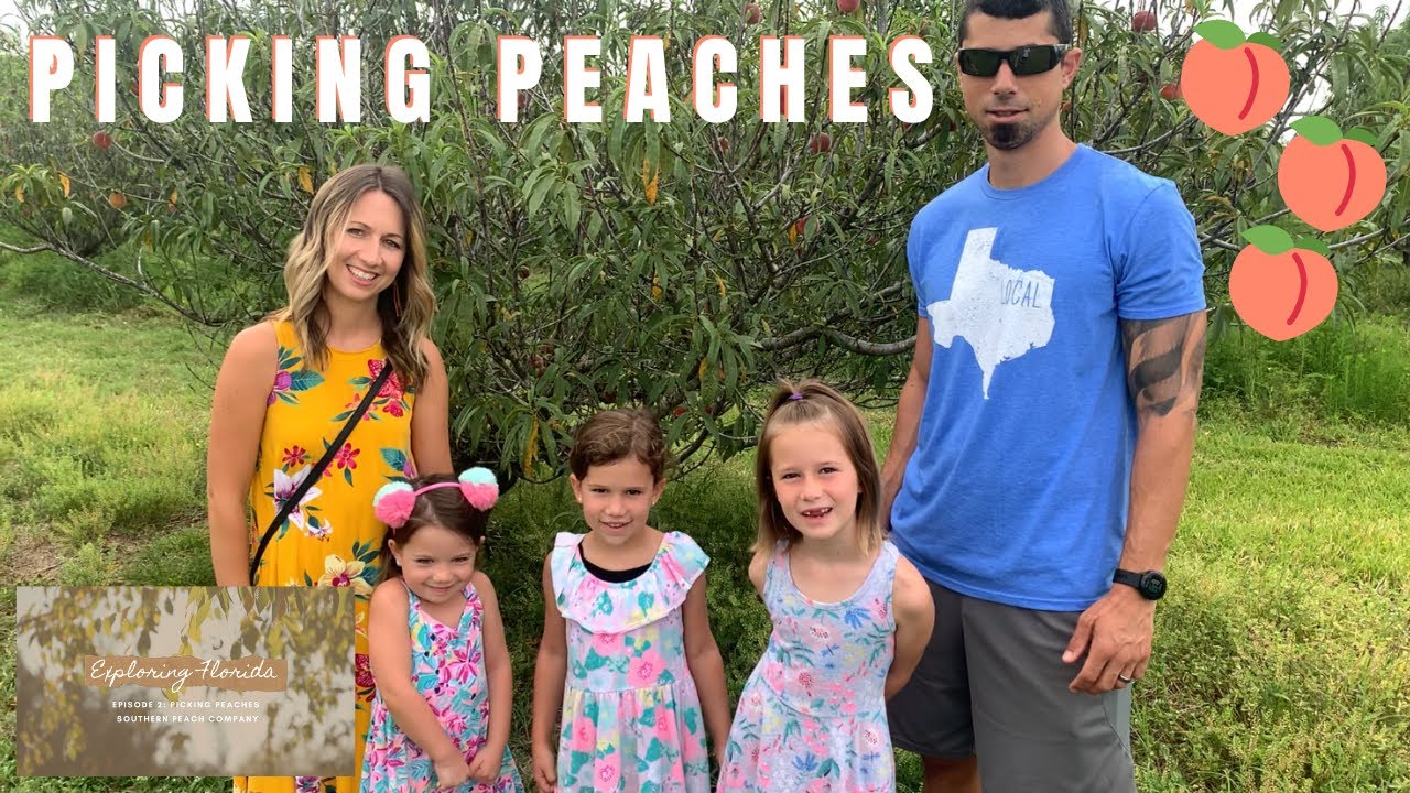 ** SOUTHERN PEACH COMPANY ** We got to pick peaches!! ** EXPLORING ...