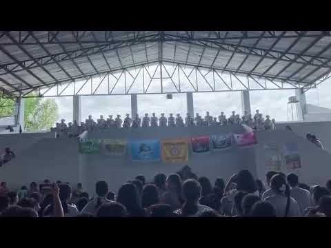 GRADE 11 GRAY WOLVES BENCH CHEERING COMPETITION #CHAMPION 🏆 - YouTube