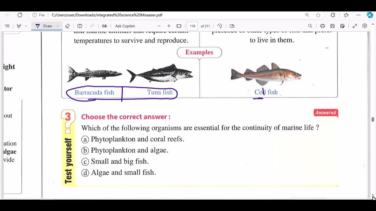 شرح وحل الدرس السادس من كتاب المعاصر Integrated Science | Light lesson 6 part 2 - YouTube
