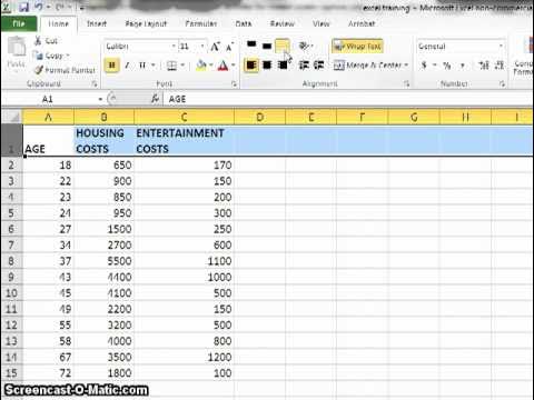 Excel 2010 - Inserting rows, columns, wrapping and aligning text - YouTube