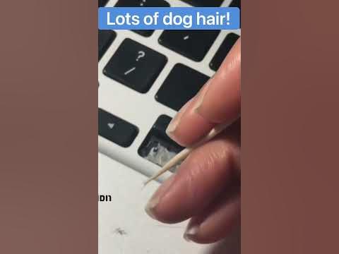 Replace Apple MacBook Keyboard Keys - YouTube