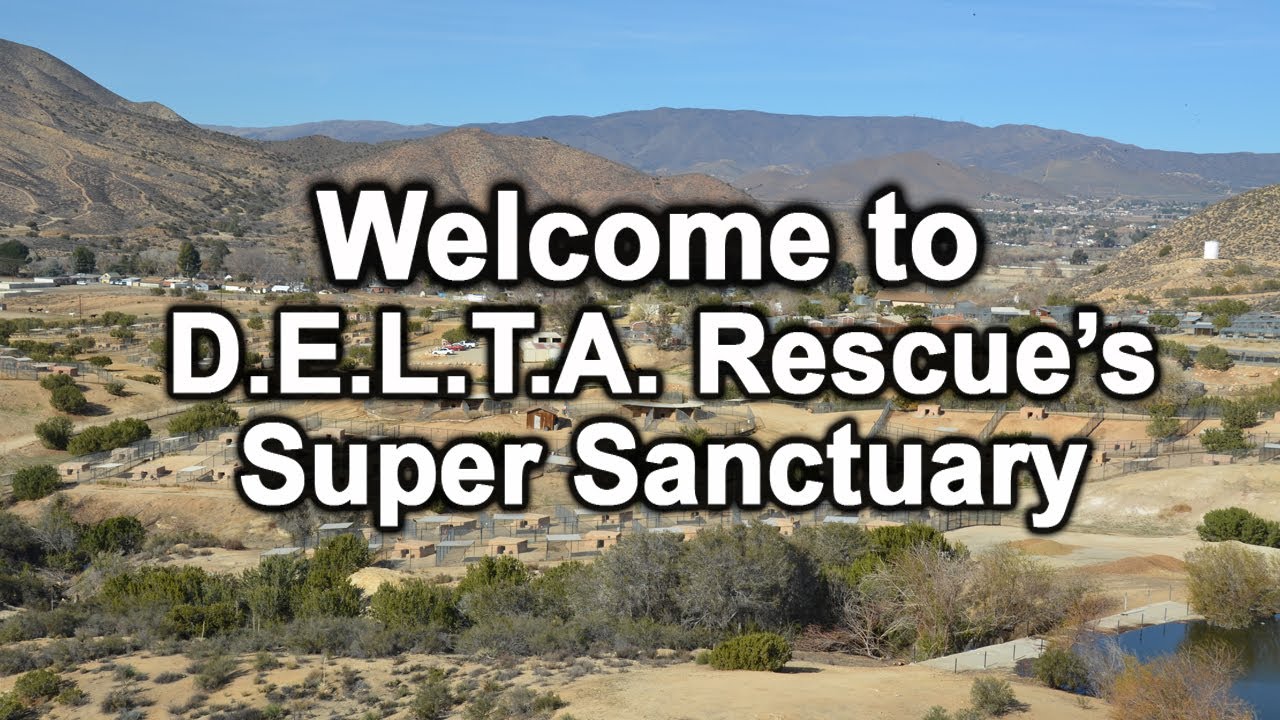 Delta Rescue Video Center - DELTA Rescue Care for Life Animal Sanctuary