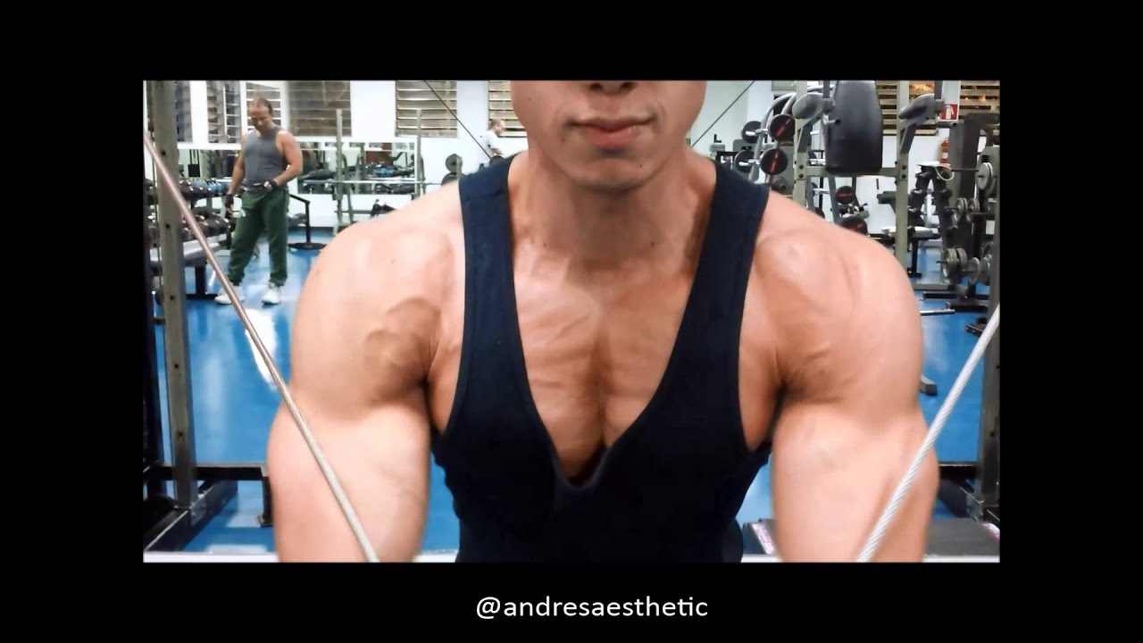 Andresaesthetic - Insane Chest workout! - YouTube