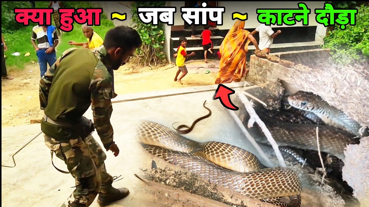 एक छोटी सी गलती सांप हाथ से छुटा और छूटते ही काटने दौड़ा लोगो को , फिर ...