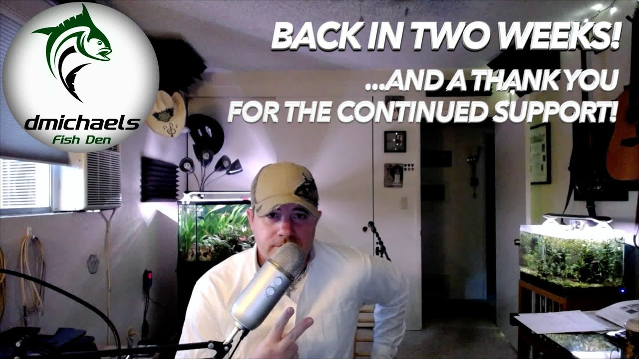 Back In Two Weeks! Thank You For Your Continued Support! - YouTube