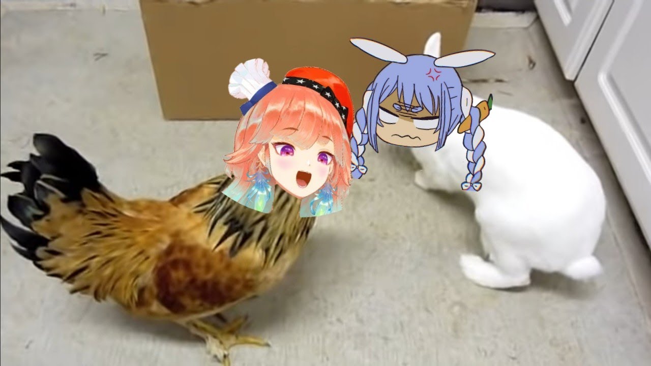 Pekora rabbit and Kiara chicken | Animal hololive - YouTube