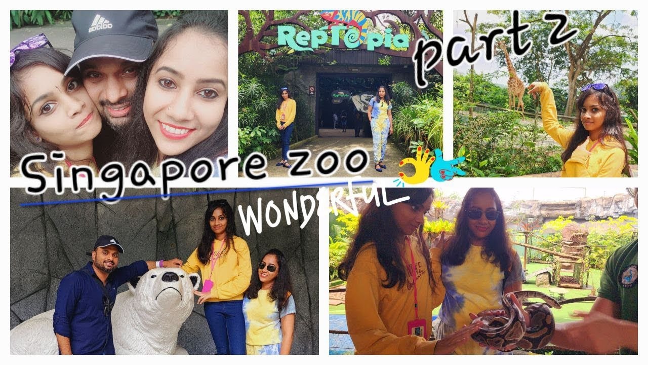 exploring the ZOO (PART 2) sorry for not posting for a while guys😅#lovlyfamily#singaspore🇸🇬#mom ...