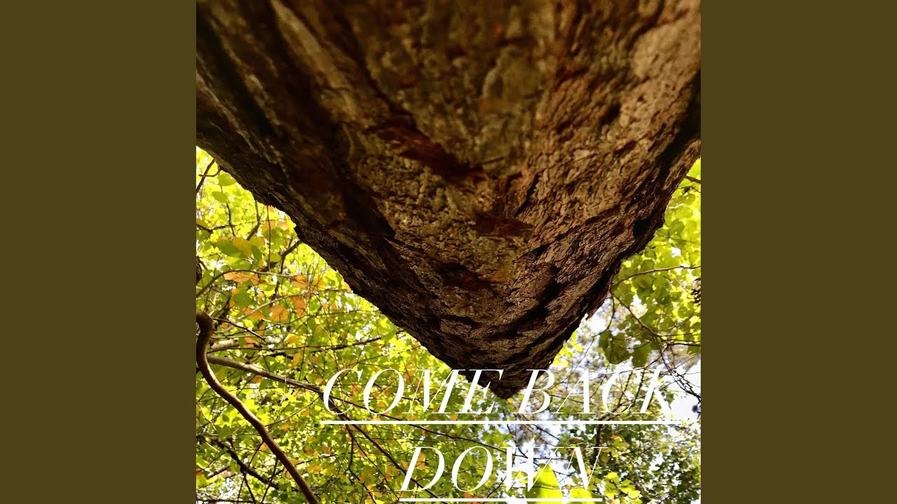 Come Back Down - YouTube