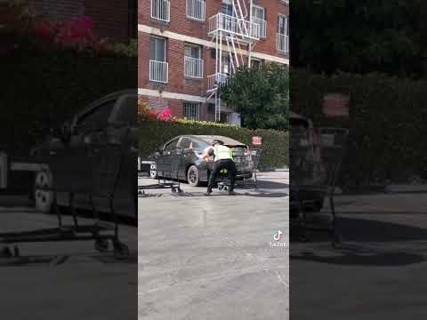 Just put your cart away! - TikTok Mall cop keeps putting cart behind car