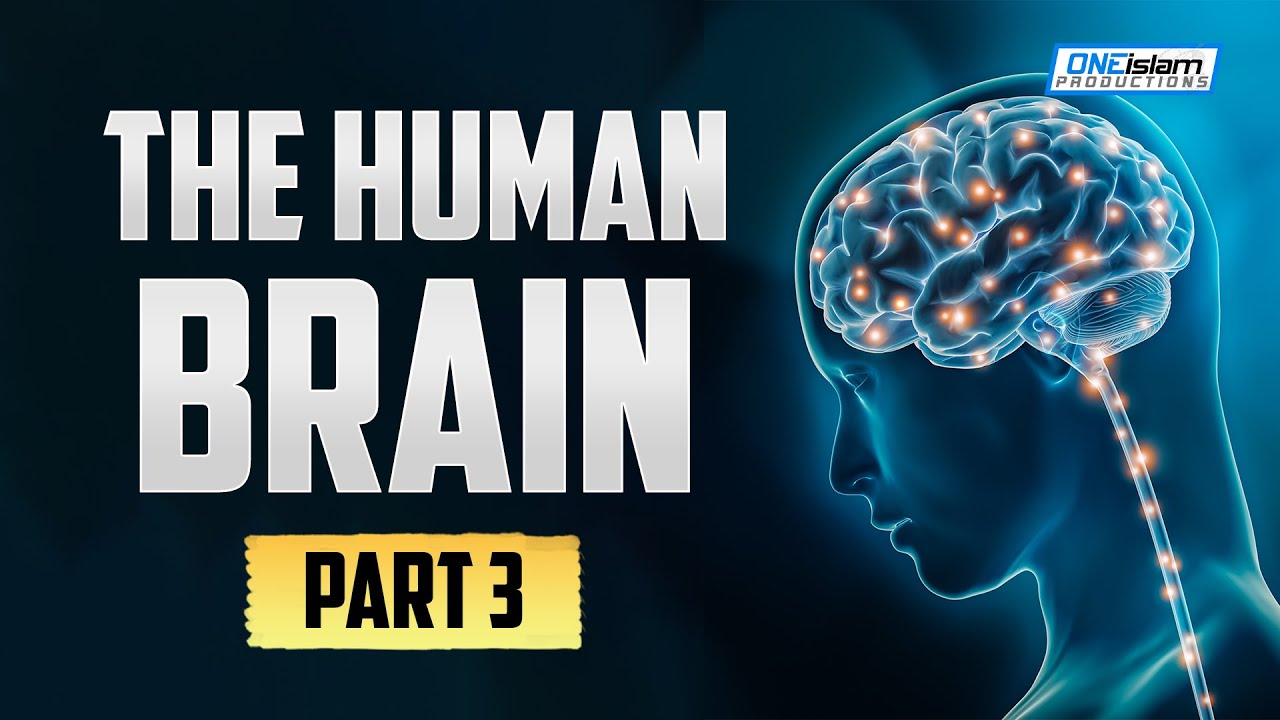 The Story Of Adam (AS) | PART 3 | The Human Brain - YouTube