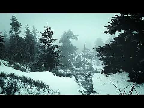 Winter Snow Fall | Cinematic Video (HD) - YouTube