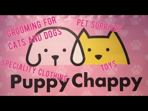 Puppy Chappy Pet Grooming - YouTube
