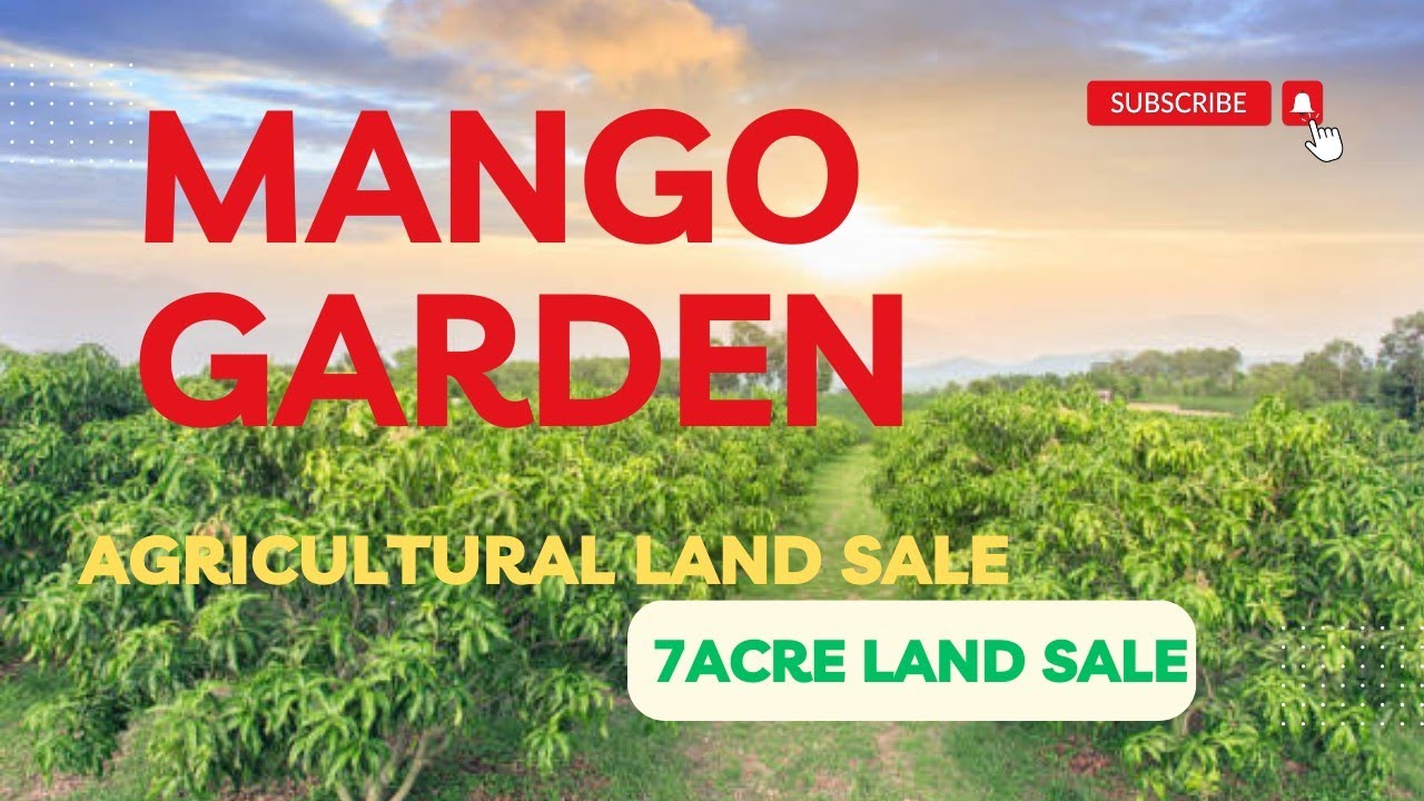 Agricultural land For Sale ||7Acre's Mango Farm Land Sale - YouTube
