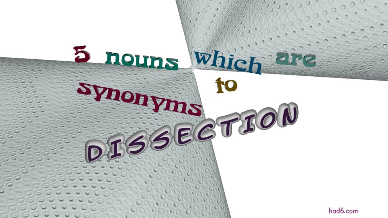 dissection - 5 nouns synonym of dissection (sentence examples) - YouTube