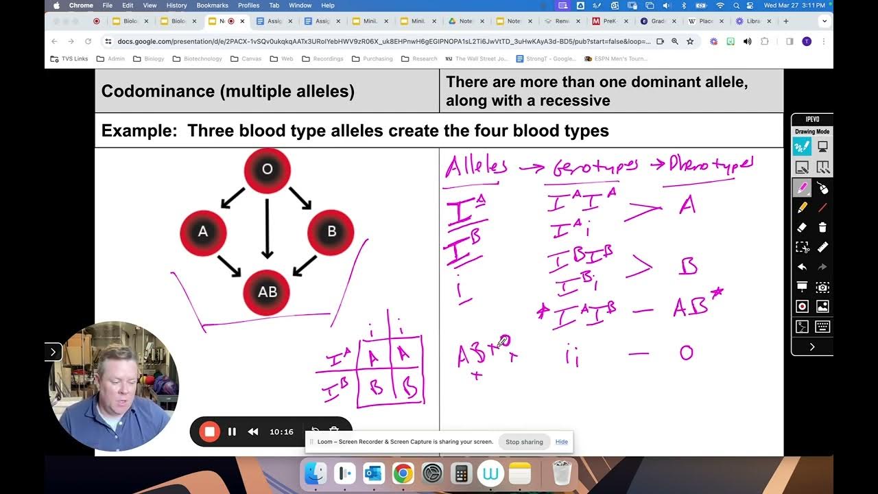 Complex Patterns of Inheritance - YouTube