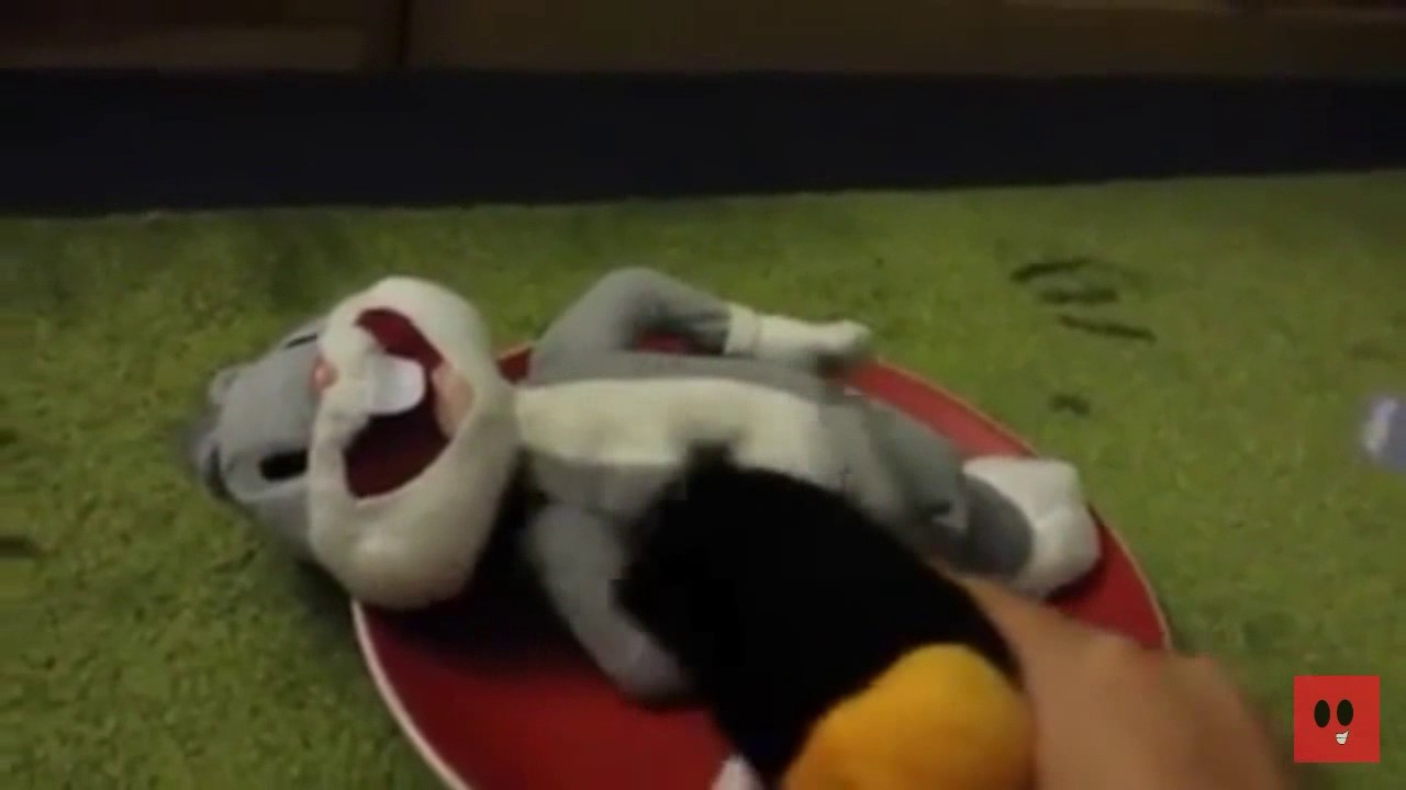 Cooking With Daffy Duck - Bugs Bunny Recipe! (Very Old Version) - YouTube