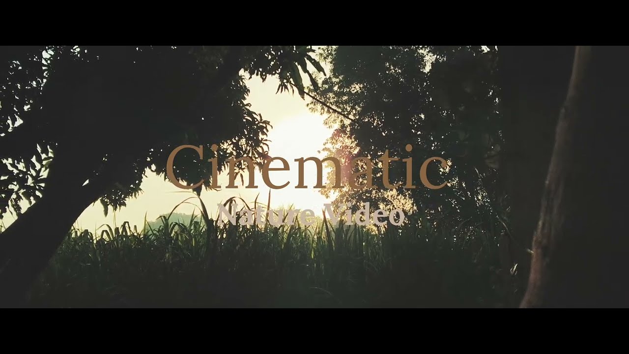 Cinematic Nature Video | Shot On Vivo | Relaxing Nature Video - YouTube