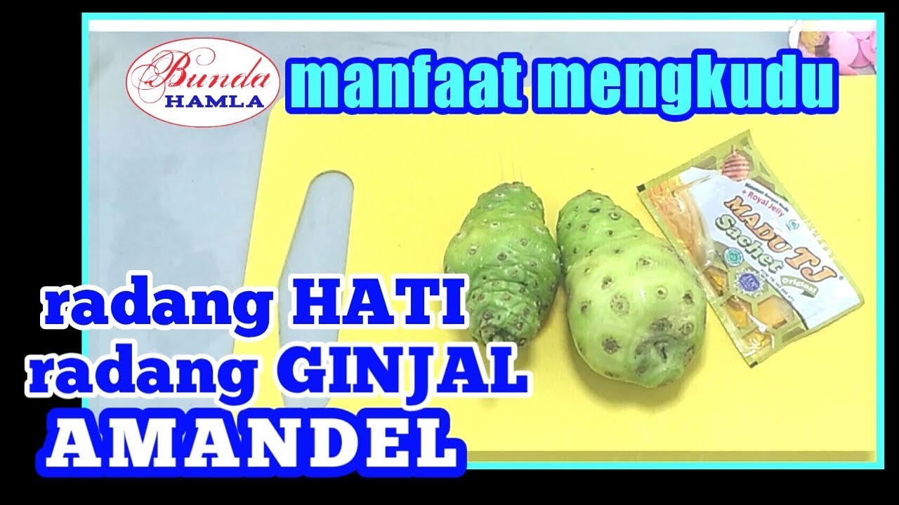 RADANG HATI, RADANG GINJAL DAN AMANDEL Sembuhkan dengan ini || Manfaat ...