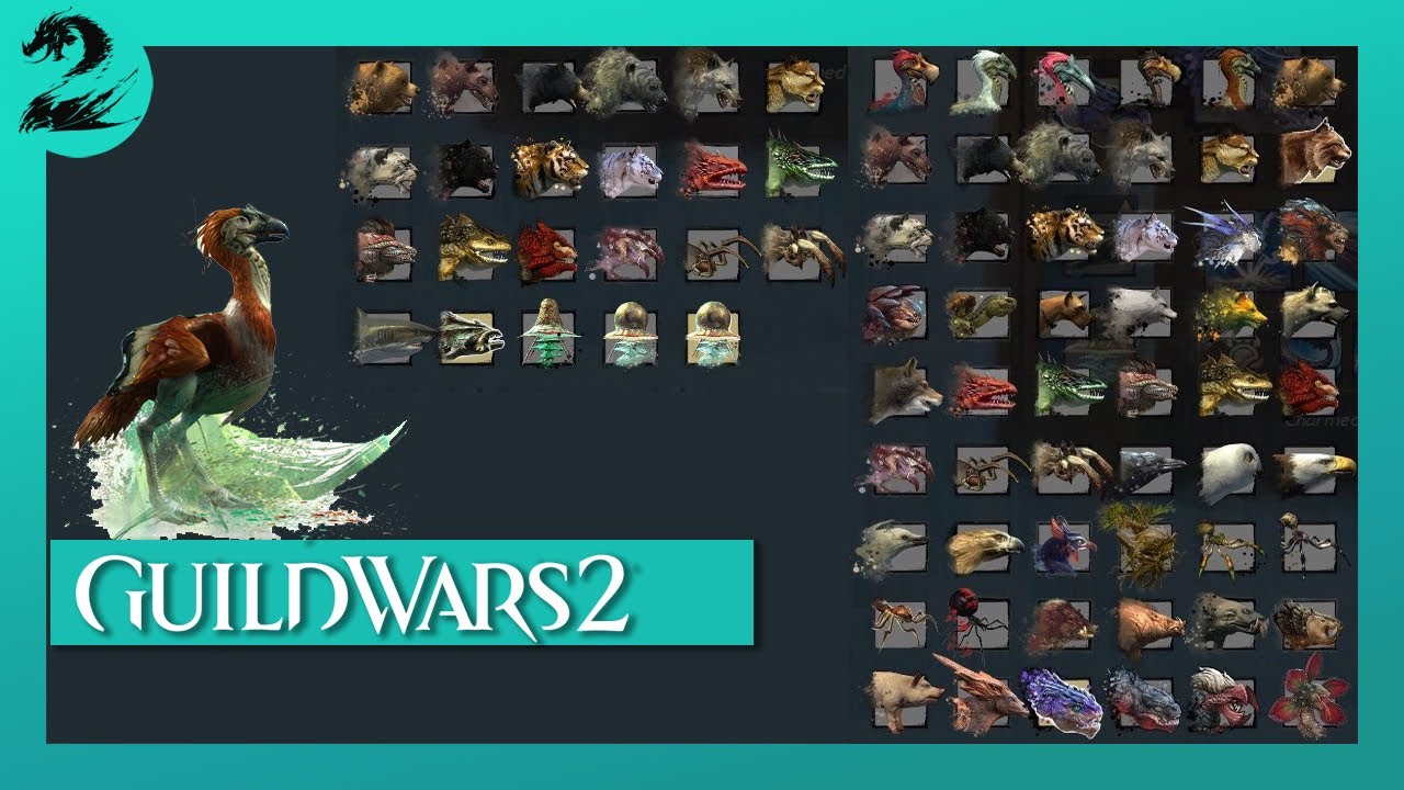 Guild Wars 2 ( Most accessible pet locations ) مواقع الحيوانات الأليفة ...