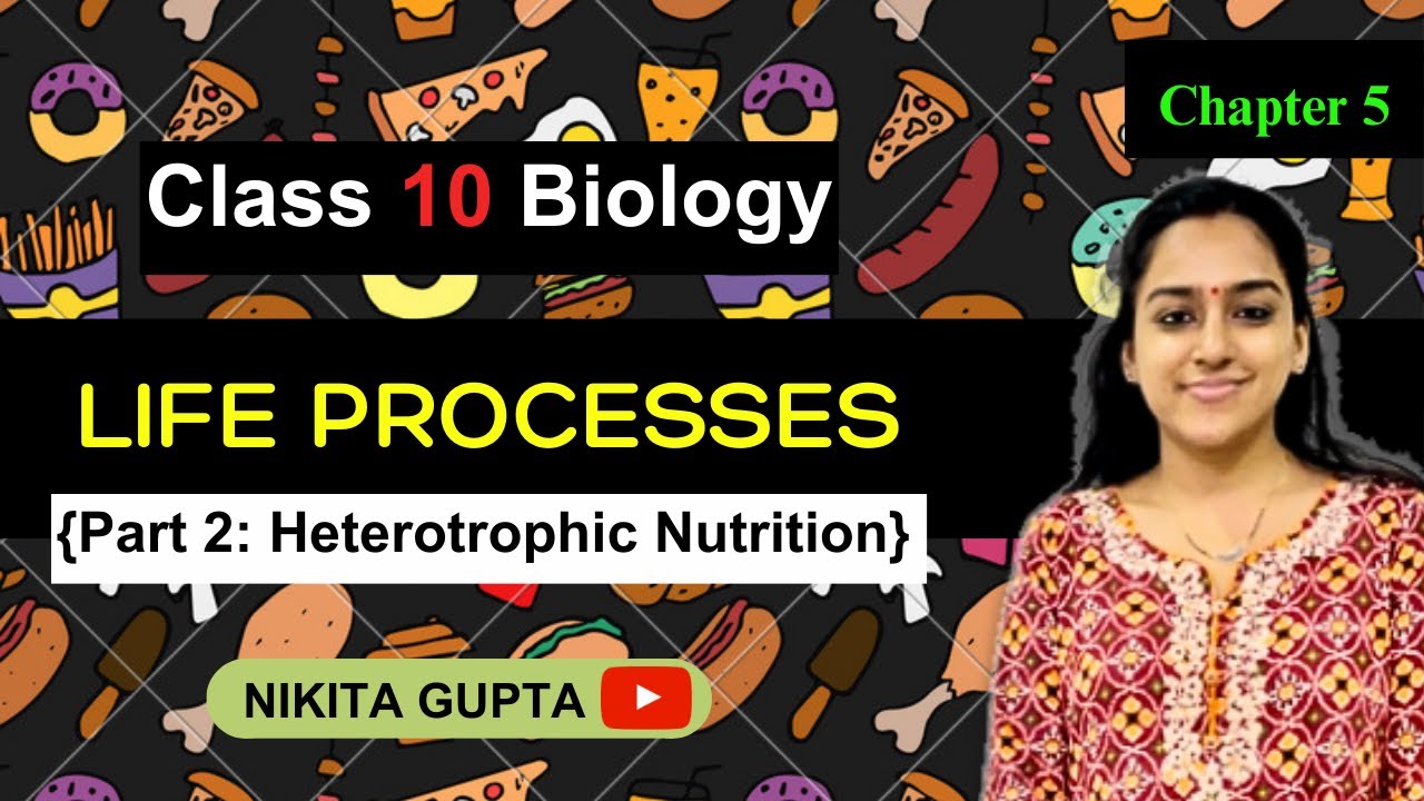 CBSE Class 10 | Life Processes Part 2: Heterotrophic Nutrition (Hindi ...