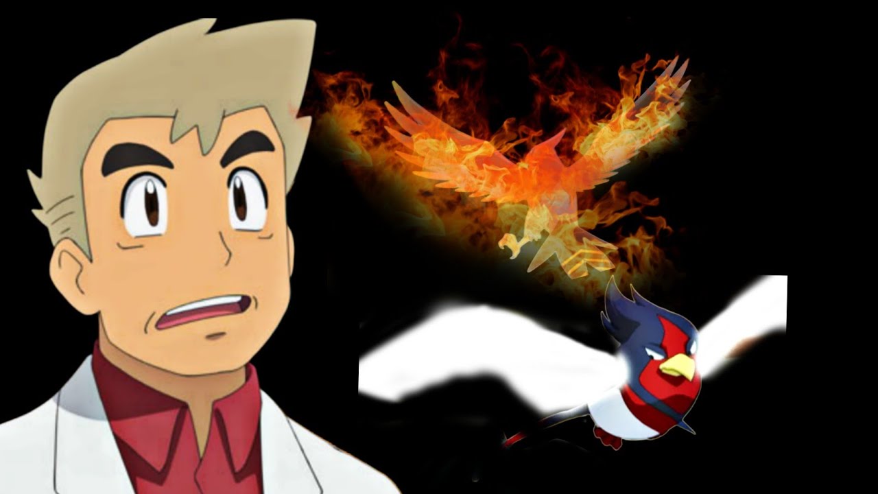 Ash's Talonflame Vs Ash's Swellow | Who is Strongest regional bird of ...