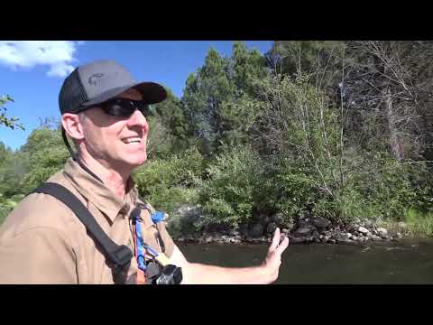 Fly Fishing a Small Montana Creek in July [Episode #78]