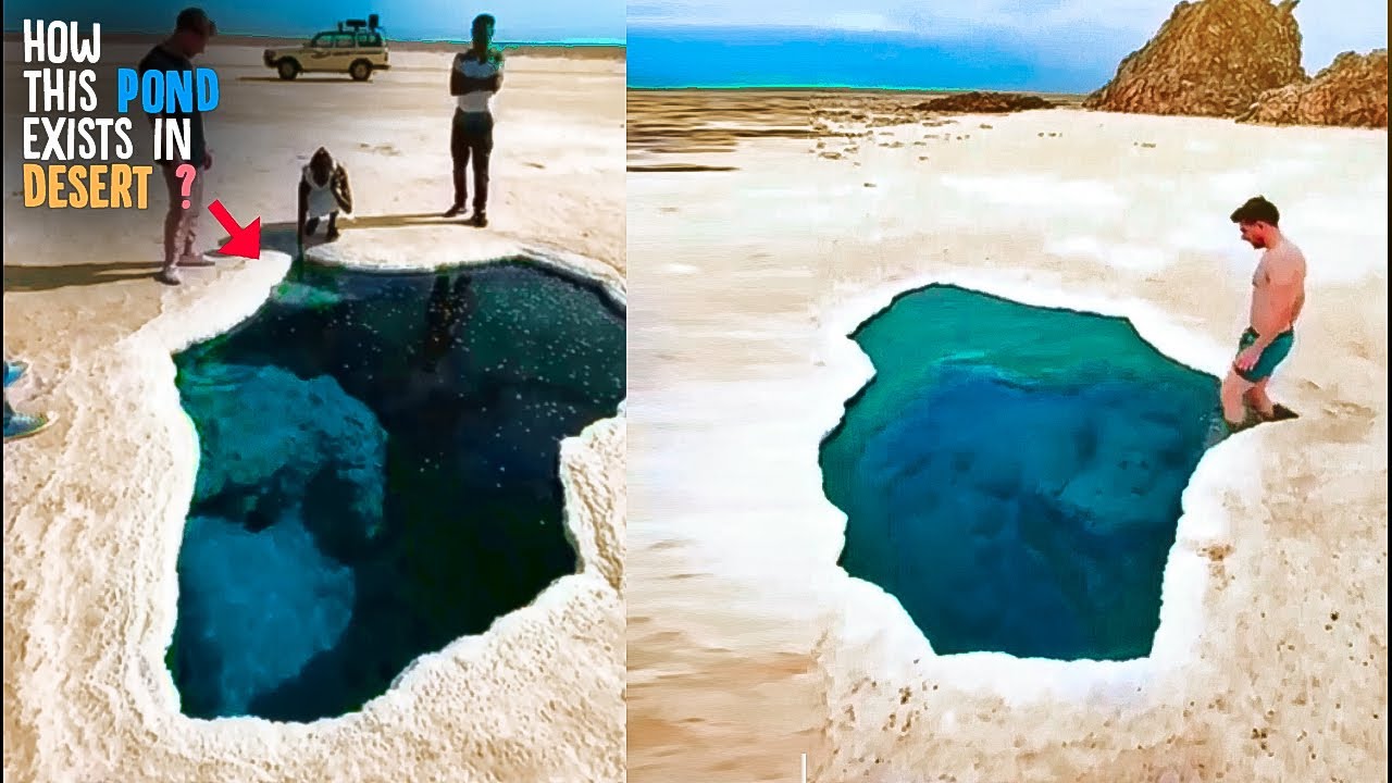 How Does Life Thrive in this Mysterious Pond in the Desert? Most Unique ...