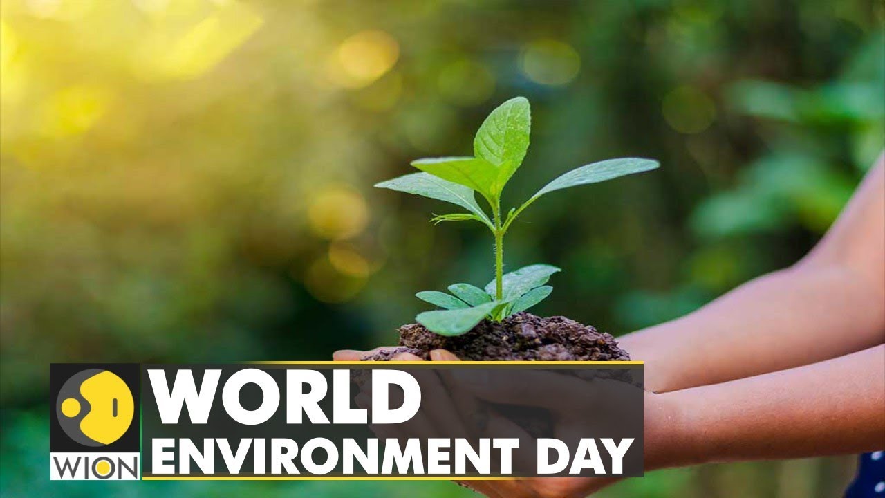 World Environment Day: Impact of climate change all around us | World ...