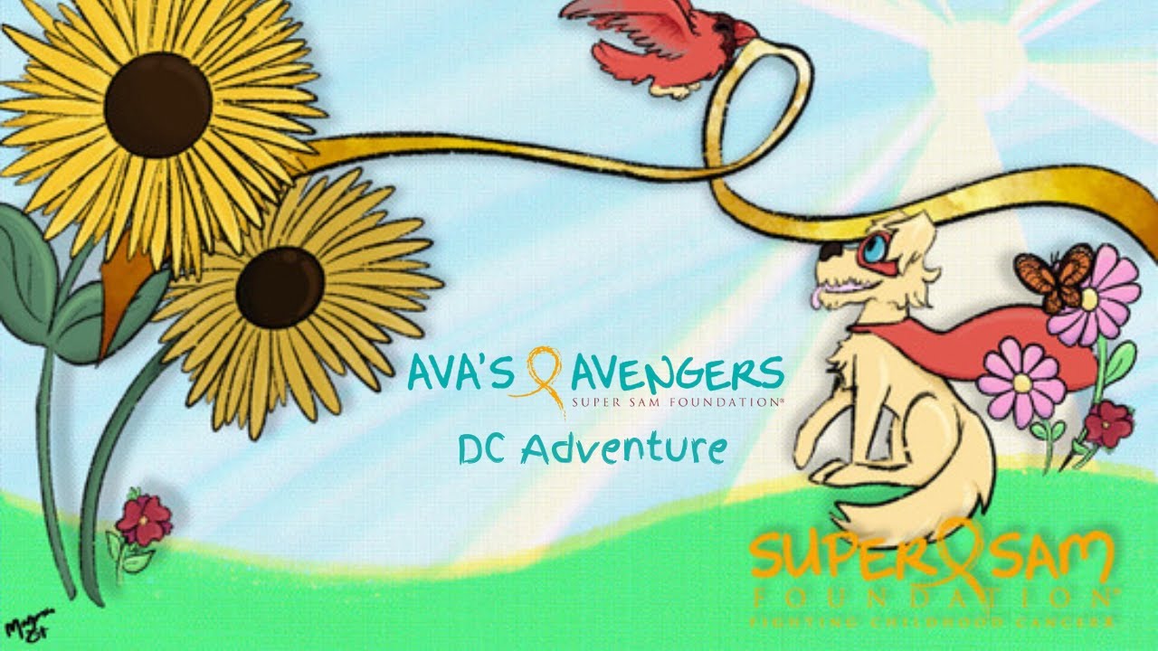 Super Sam Foundation: Fighting Childhood Cancer - CureFest Recap Reel ...