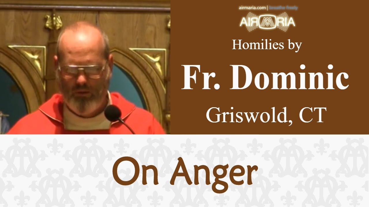 On Anger - Jun 11 - Homily - Fr Dominic - YouTube