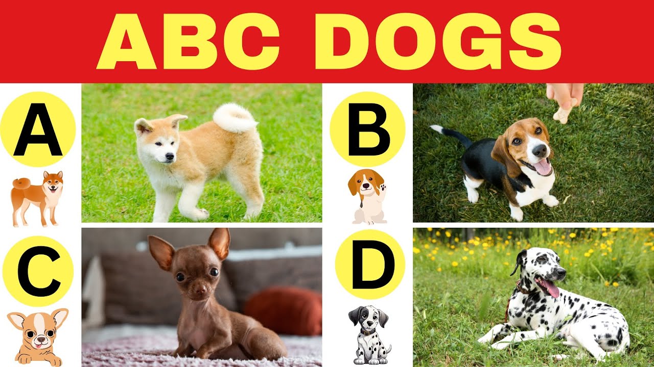 ABC Dogs | ABC Dogs for Children | Learn ABC with Dogs for Toddlers and ...