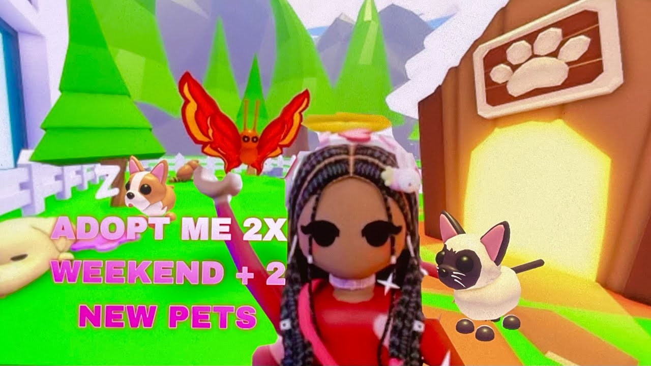 2X WEEKEND AGAIN? + 2 NEW PETS & MORE!! 🤯😫😍🥹🧸💕 - YouTube